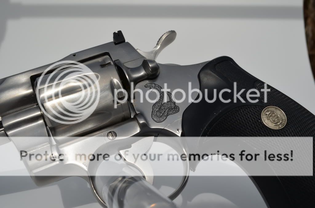 Red ramp front sight question | Colt Forum