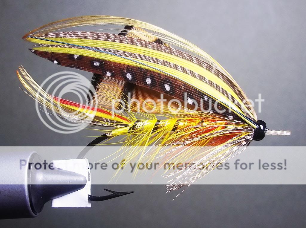 Colonel variant | Salmon Fishing Forum