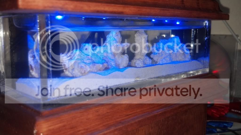 worlds smallest reef tank | Page 3 | Reef2Reef