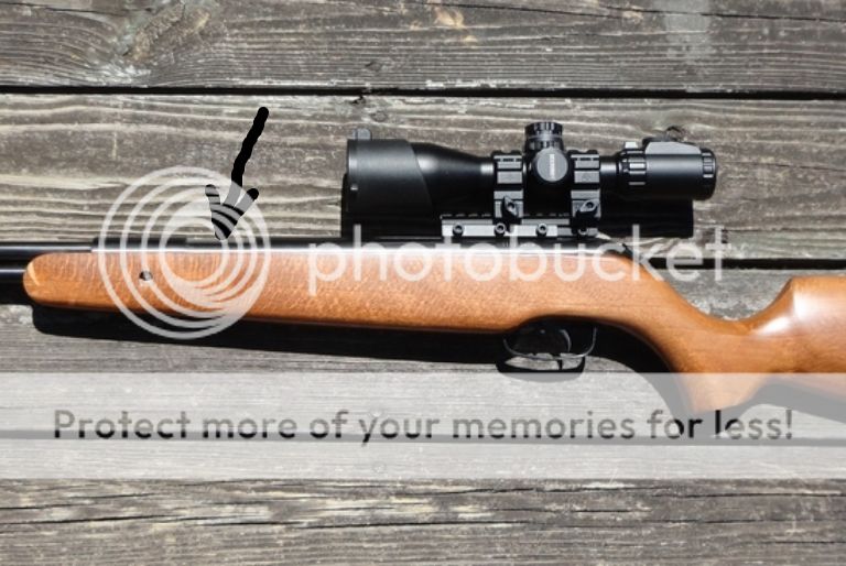 XS46U .22 or XS25 .22 ??? - Airguns & Guns Forum