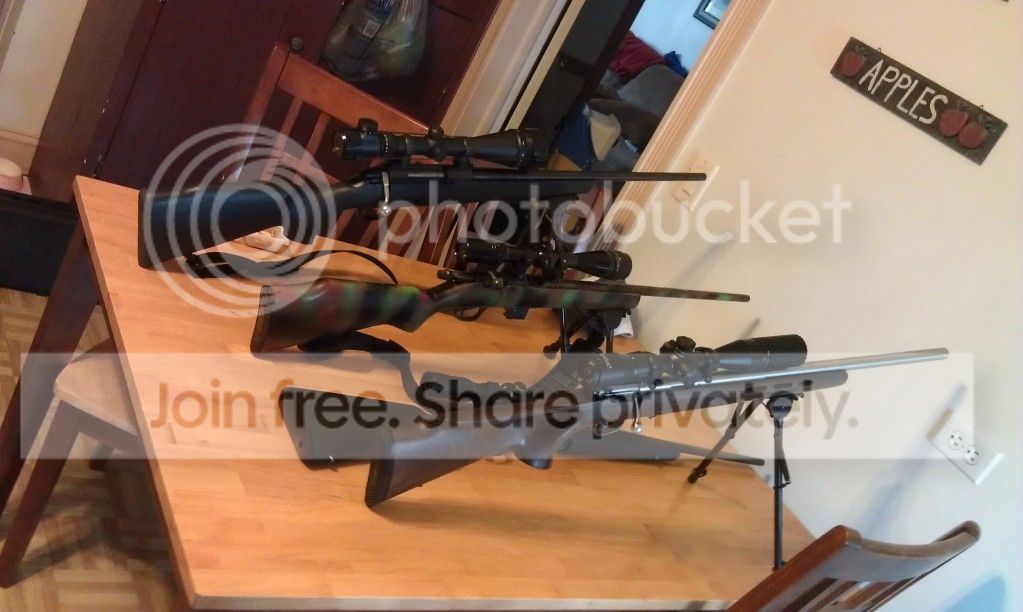 Predator Hunting Rigs! Lets see em!! | The HuntingPA.com Outdoor Community